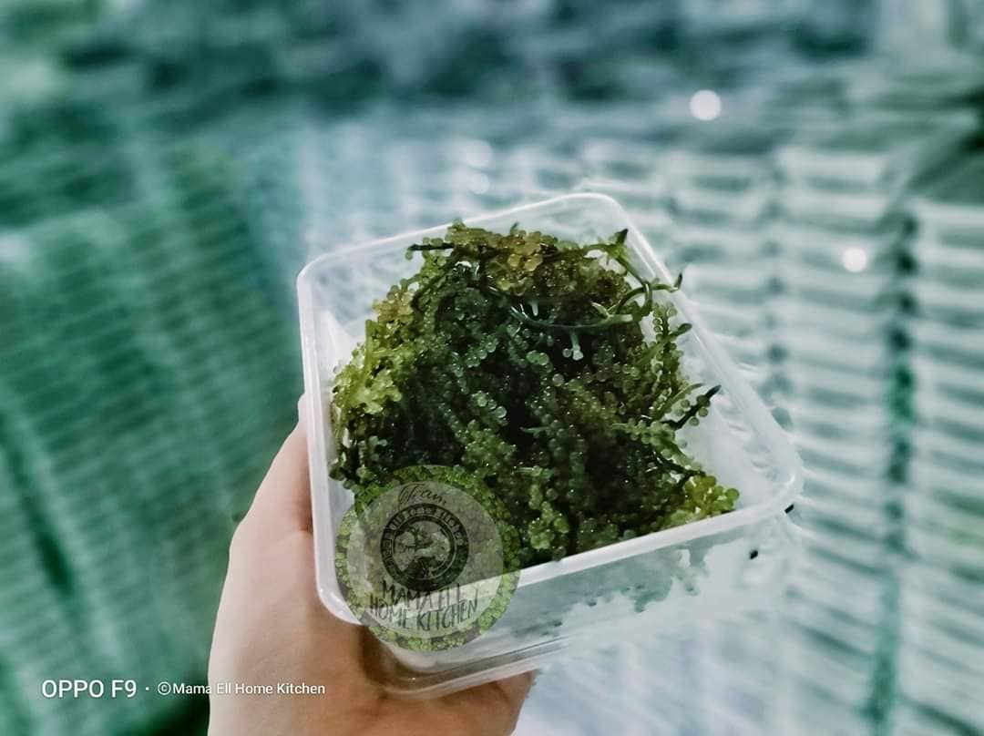 Latok – Makanan Etnik Yang Penuh Khasiat – TeratakEmas.Com